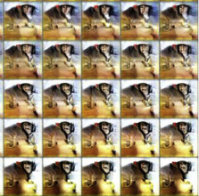 Ponce CR Xiao W Schade PF Hartmann TS Kreiman G and Livingstone MS 2019 Evolving images for ...